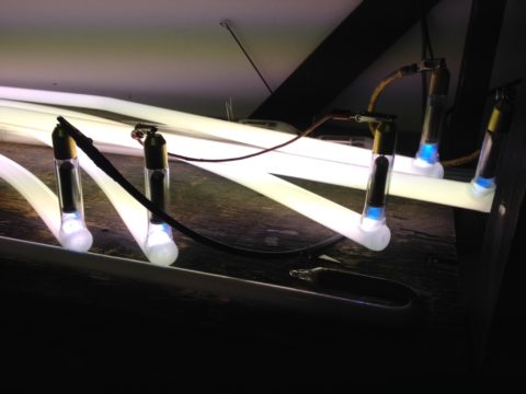 Cold Cathode - Acme Neon Signs